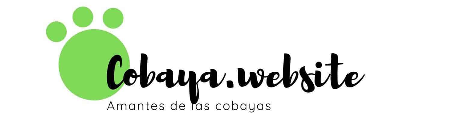 🥇5 Secretos Infalibles para Cuidar de tu【 COBAYA 】con Éxito